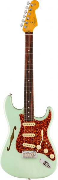 E- Gitarre Fender Limited AM Pro II Strat Thinline RW