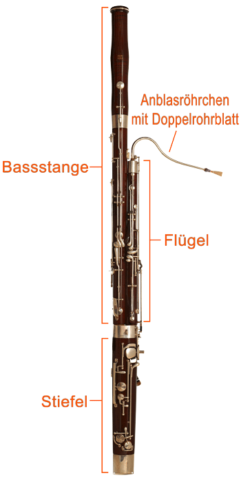 Wissenswertes über das Fagott | Reisser Musik